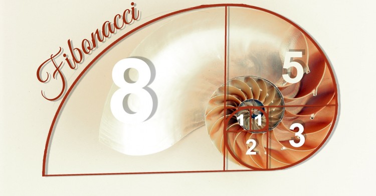 Numerele lui Fibonacci si proportia de aur • Dr Teodor Vasile